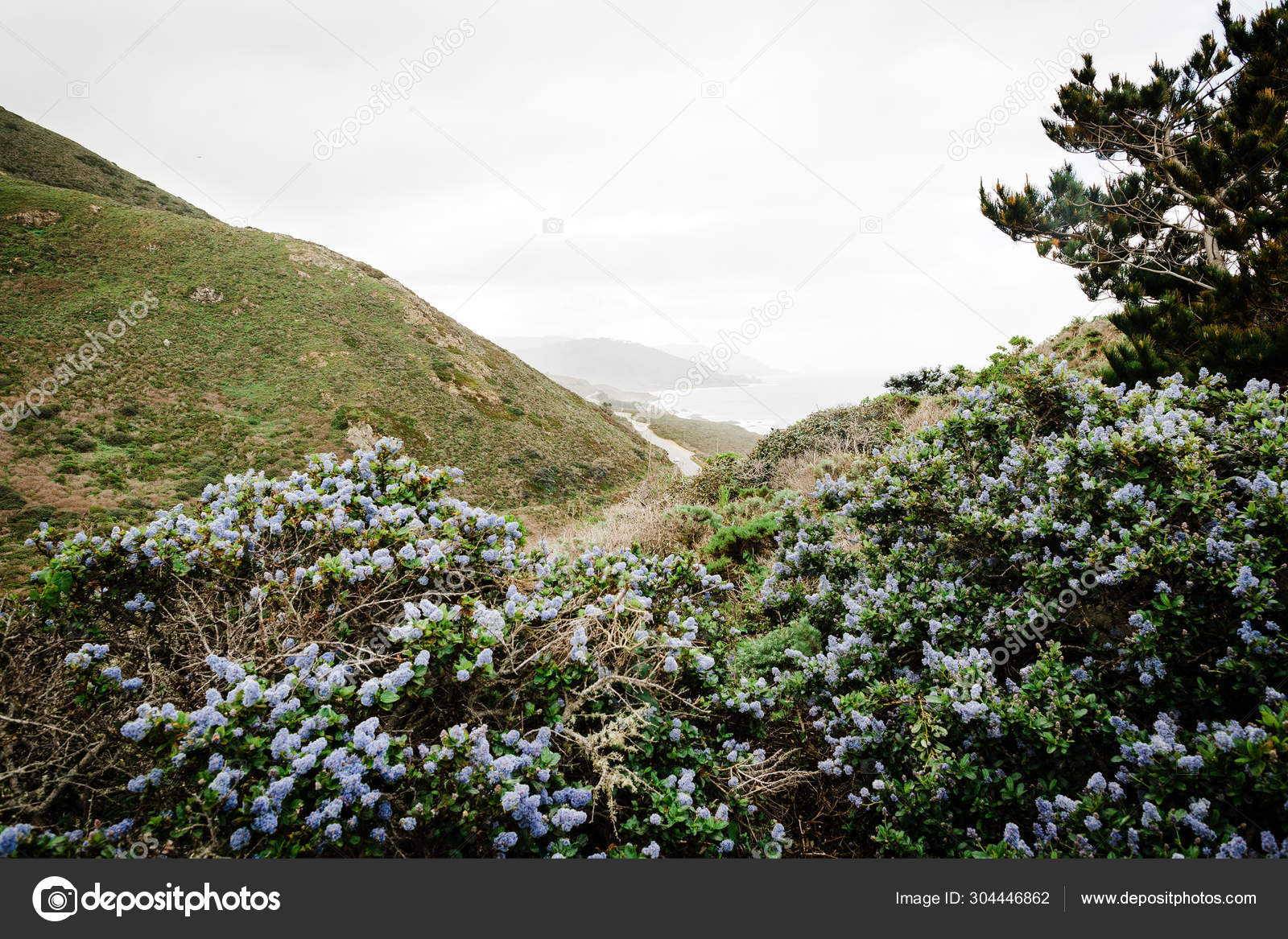 Pathway in the mountains of a road and green brush leading to the ocean ...