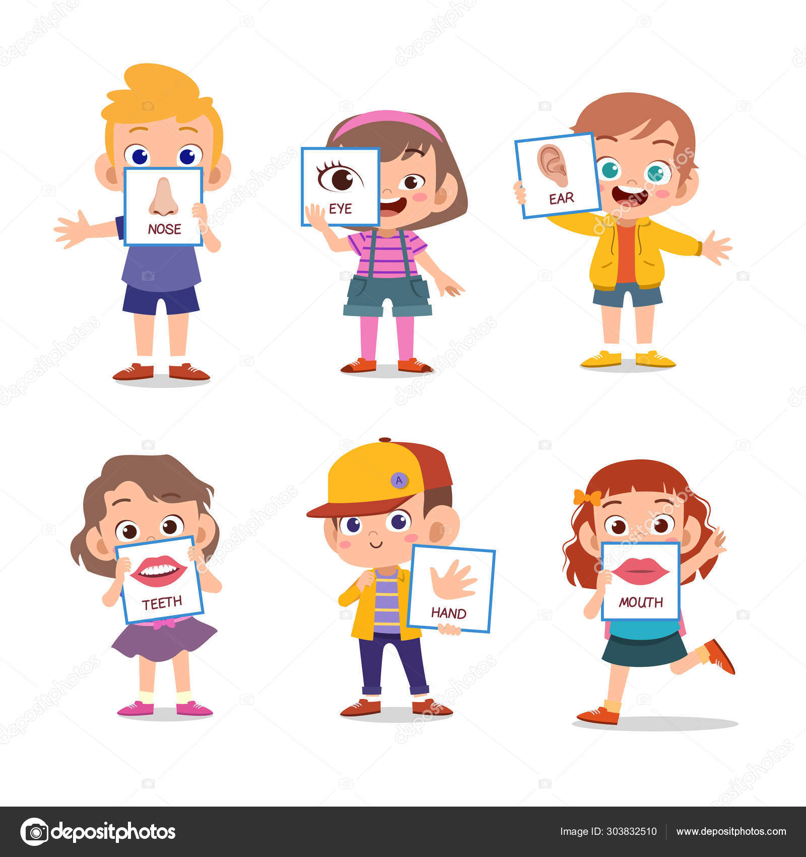 인체의 벡터 그림 스톡 벡터 - ©colorfuelstudio 303832510