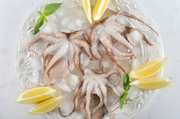 Raw mini octopus on a plate with ice. Mini octopuses are decorated with ...