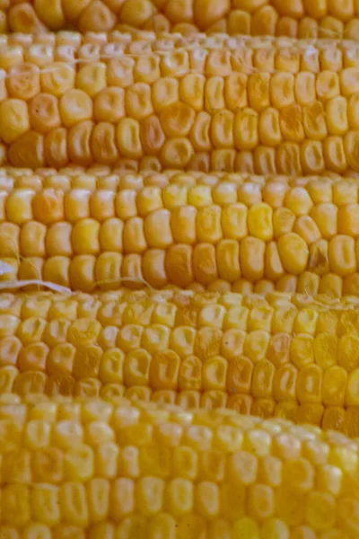 Photo of yellow corn background, abstract backgrounds, harvest season ...