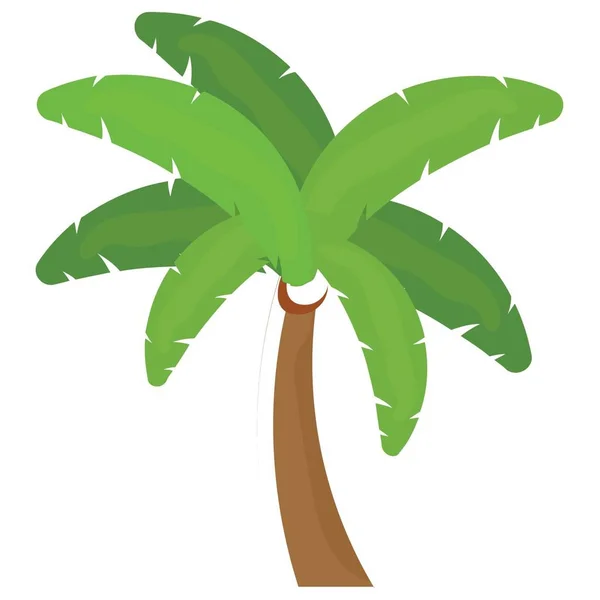 Coconut tree — Stock Vector © interactimages #10274085 Coconut tree — Stock Vector © interactimages #10274085