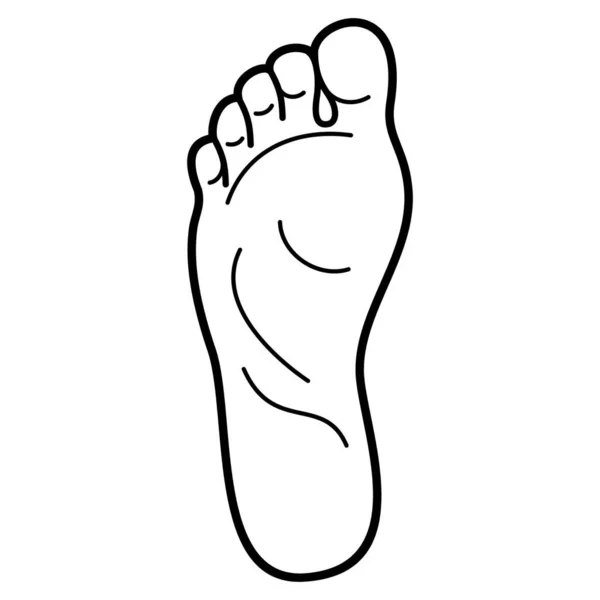 Illustration Body Part Plant Sole Right Foot Black White Ideal — Stock ...