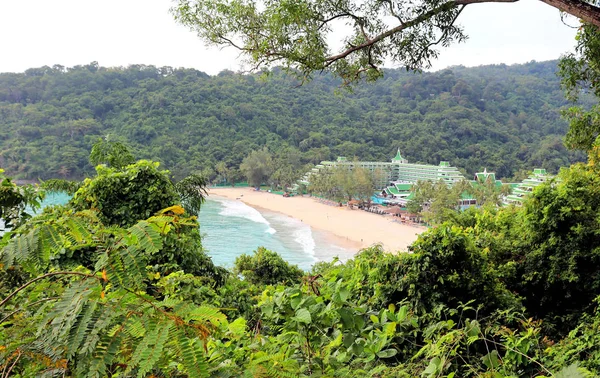 Tigre cauda praia Stock Photos, Royalty Free Tigre cauda praia Images ...