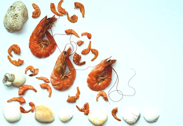 Fotos de Edible invertebrates, Imagens de Edible invertebrates sem ...