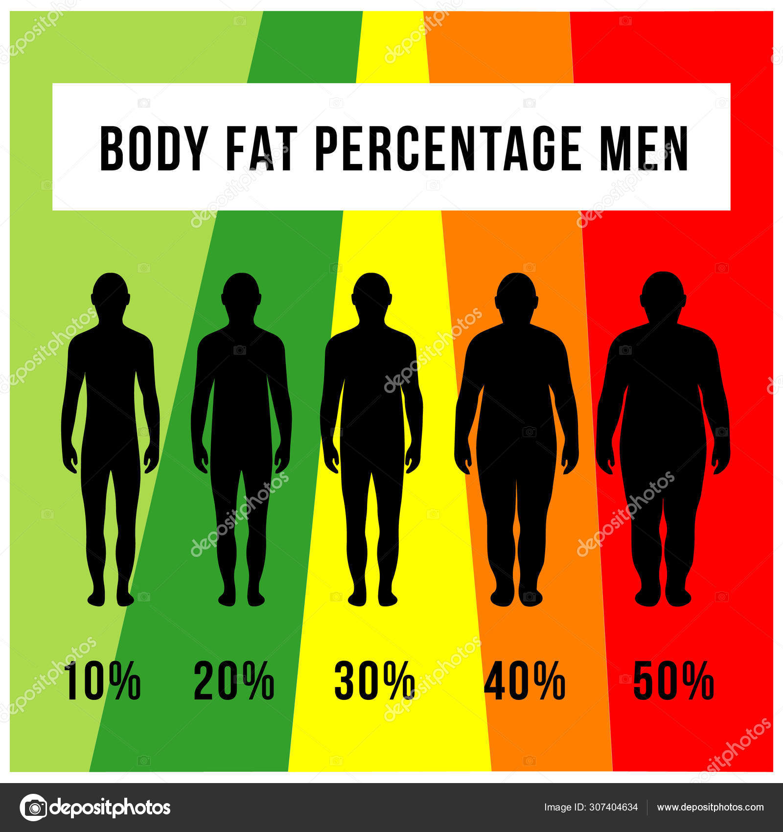 Percentual de gordura corporal homens projeta conceito vetor dietas e ...