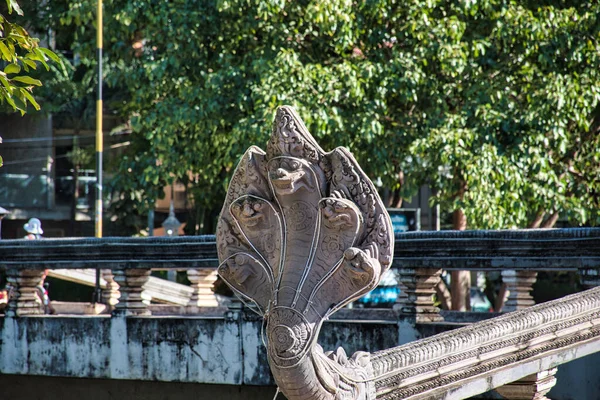 Five headed snake Pictures, Five headed snake Stock Photos & Images ...