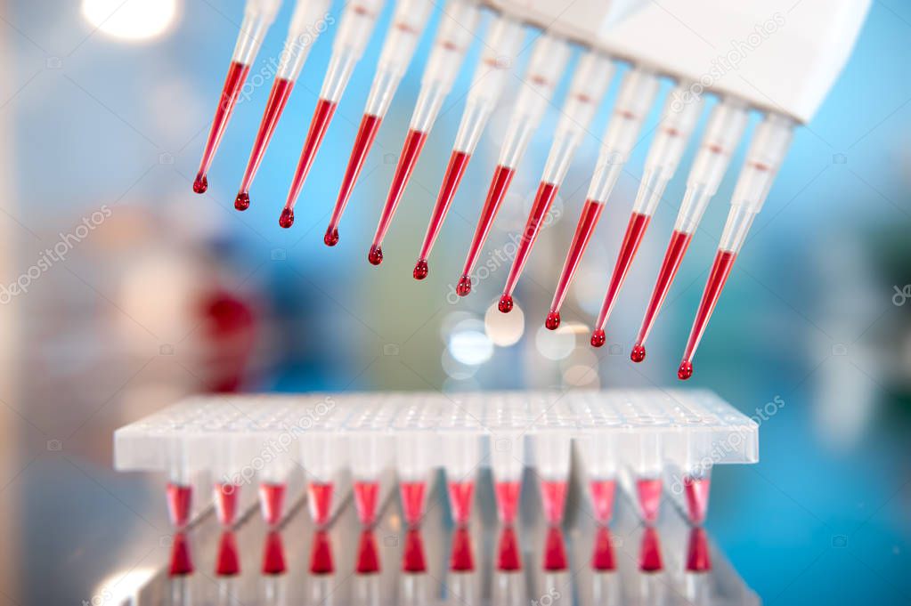 Configuración de la reacción de PCR en el laboratorio 2023