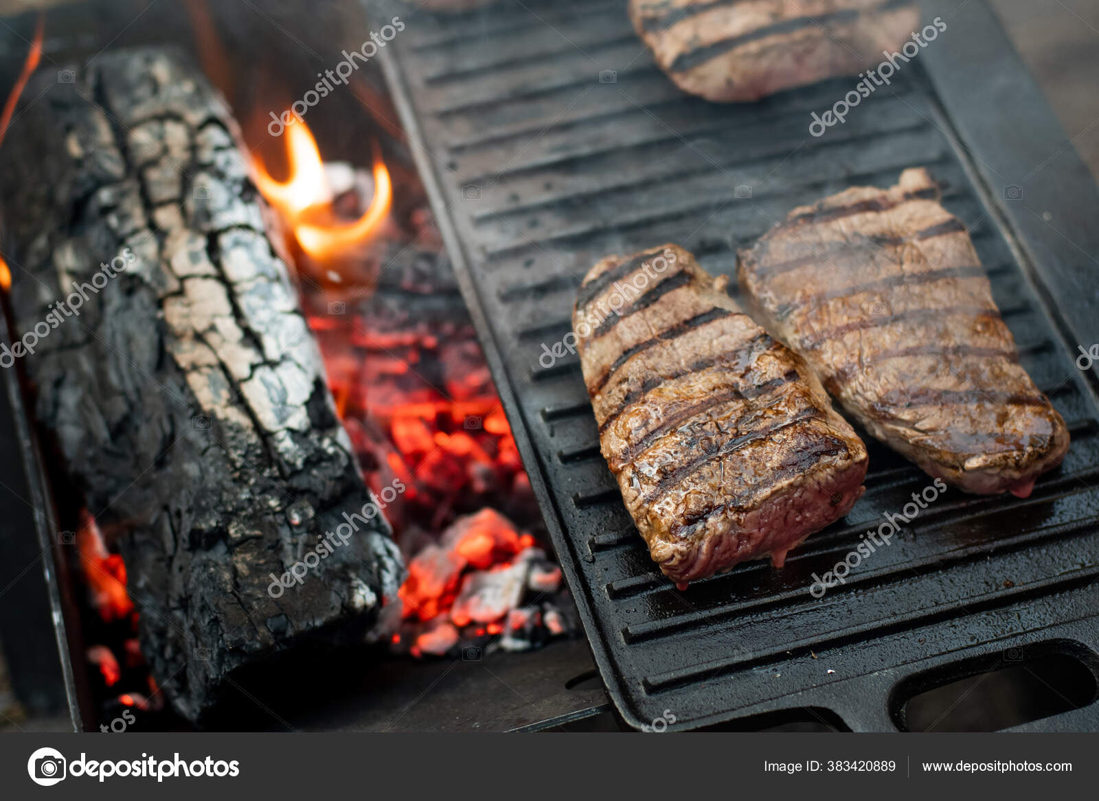 Campfire Cooking Meat