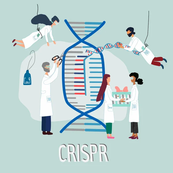 Scientists illustrated how CRISPR CAS9 works. Gene editing tool research . Genome sequencing and ...