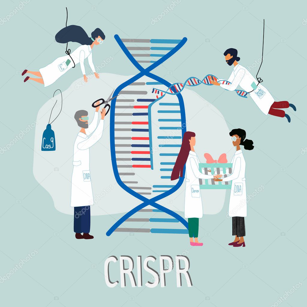 Los científicos ilustraron cómo funciona CRISPR CAS9. Investigación de ... Los científicos ilustraron cómo funciona CRISPR CAS9. Investigación de ...