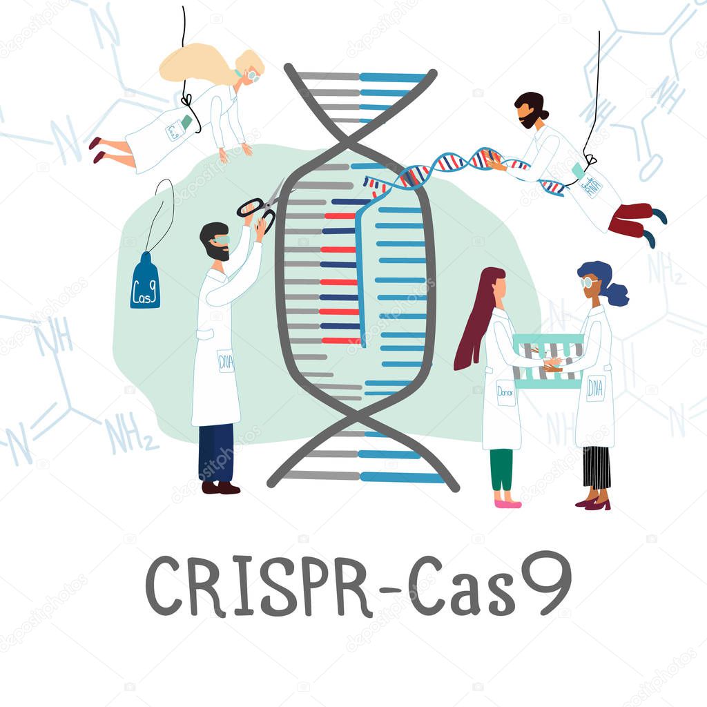 Los científicos ilustraron cómo funciona CRISPR CAS9. Investigación de ... Los científicos ilustraron cómo funciona CRISPR CAS9. Investigación de ...