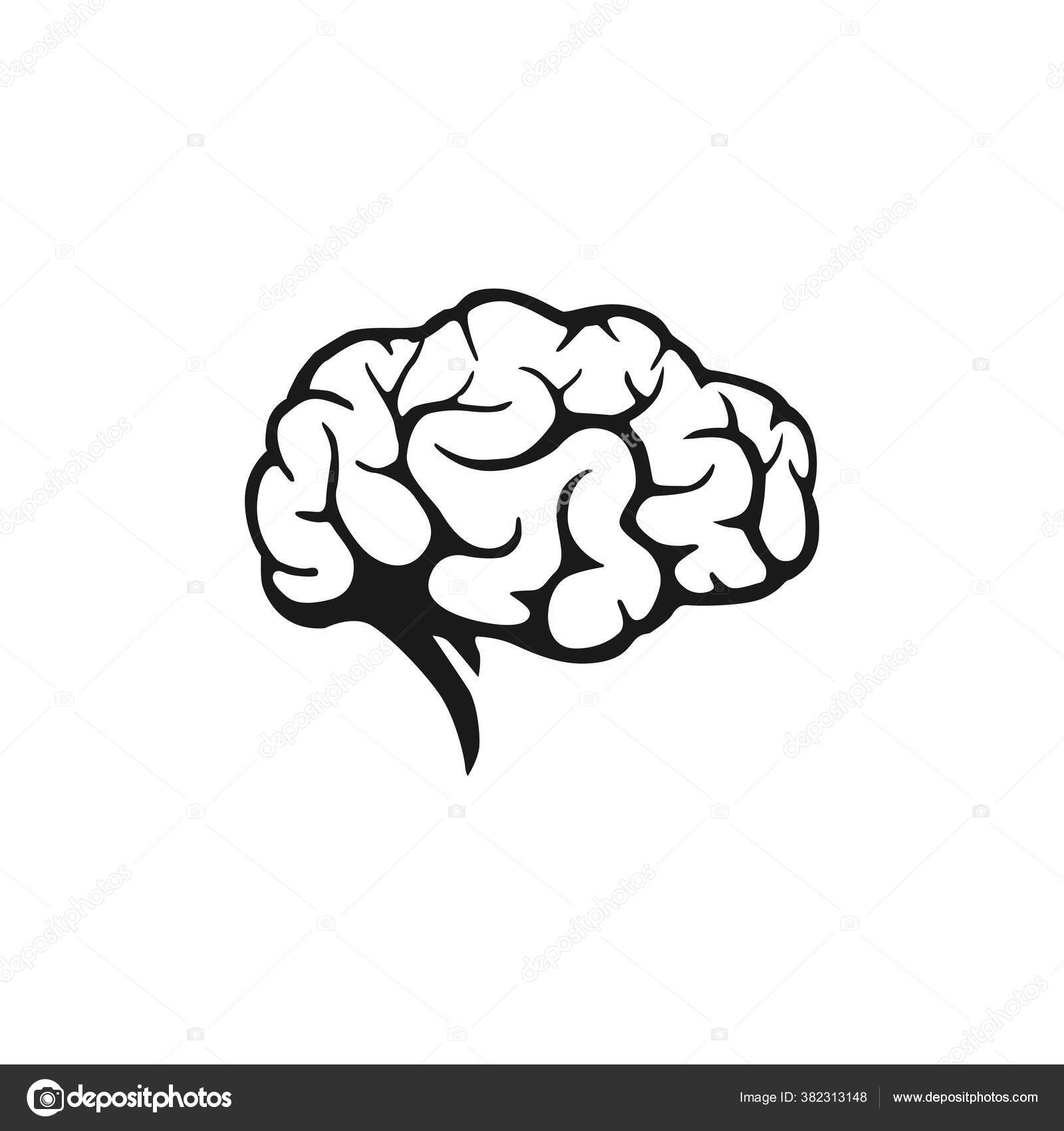 Black White Brain Logo — Stock Vector © rycw #382313148