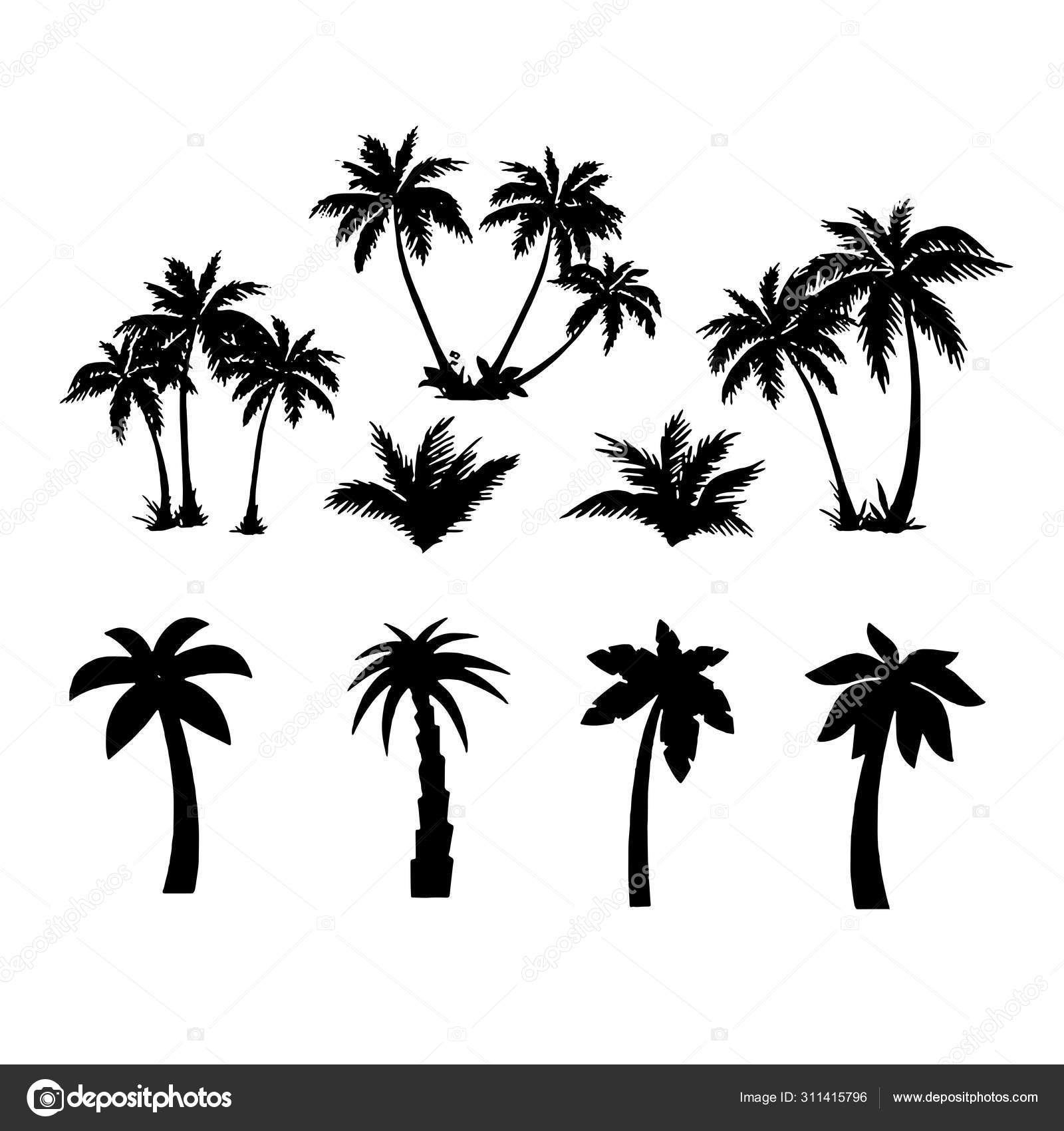 Palm trees tropical Set icon on white background Stock Vector Image by ...