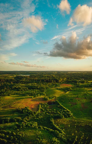 Aerial View Green Latvian Field Agriculture Field Aerial Photo Sunset ...