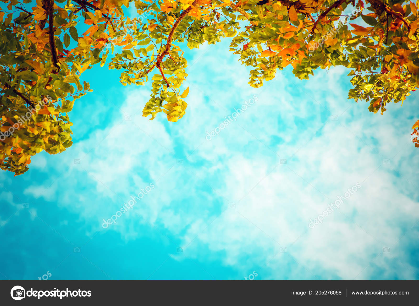 Fall Blue Background