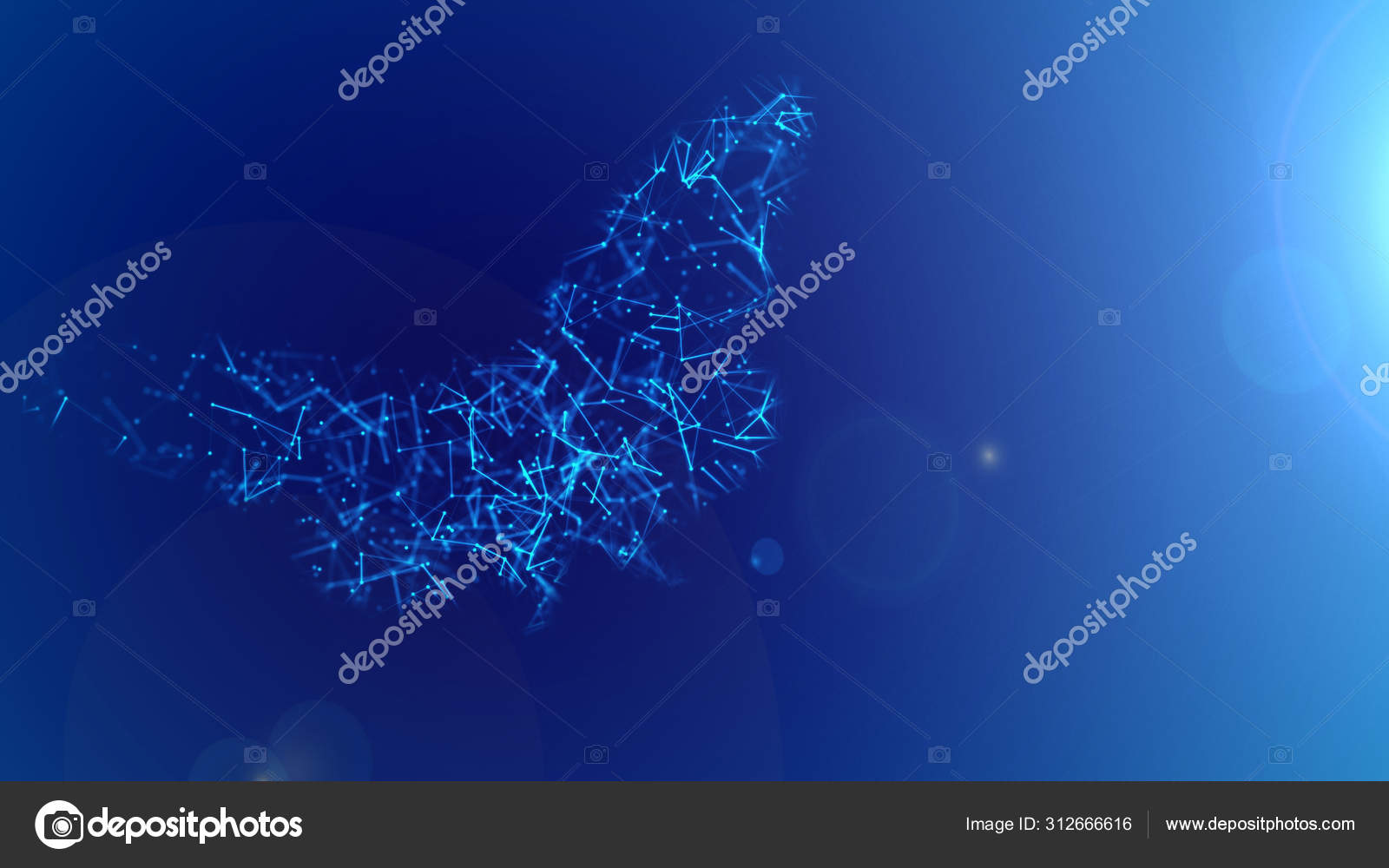 Copy Space Abstract Background Butterfly Growth Evolution ...