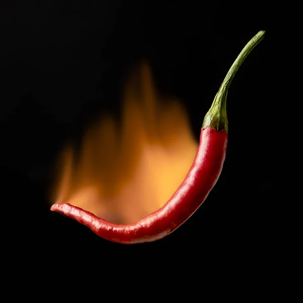 Flaming Hot Chili Pepper Fire Stock Photo by ©YeninMy 307931184