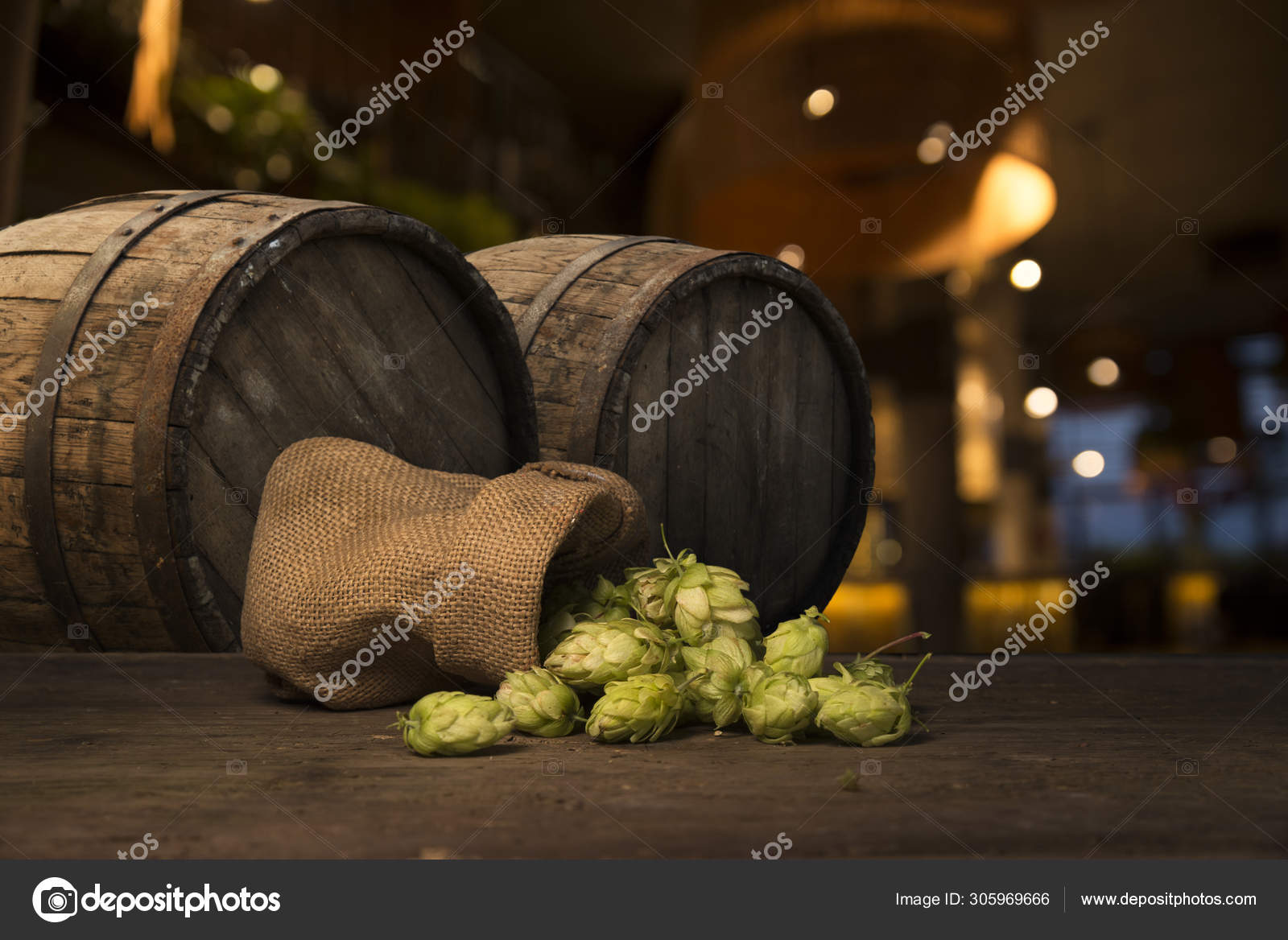 Beer brewing ingredients Hop in bag and wheat ears on wooden cracked ...