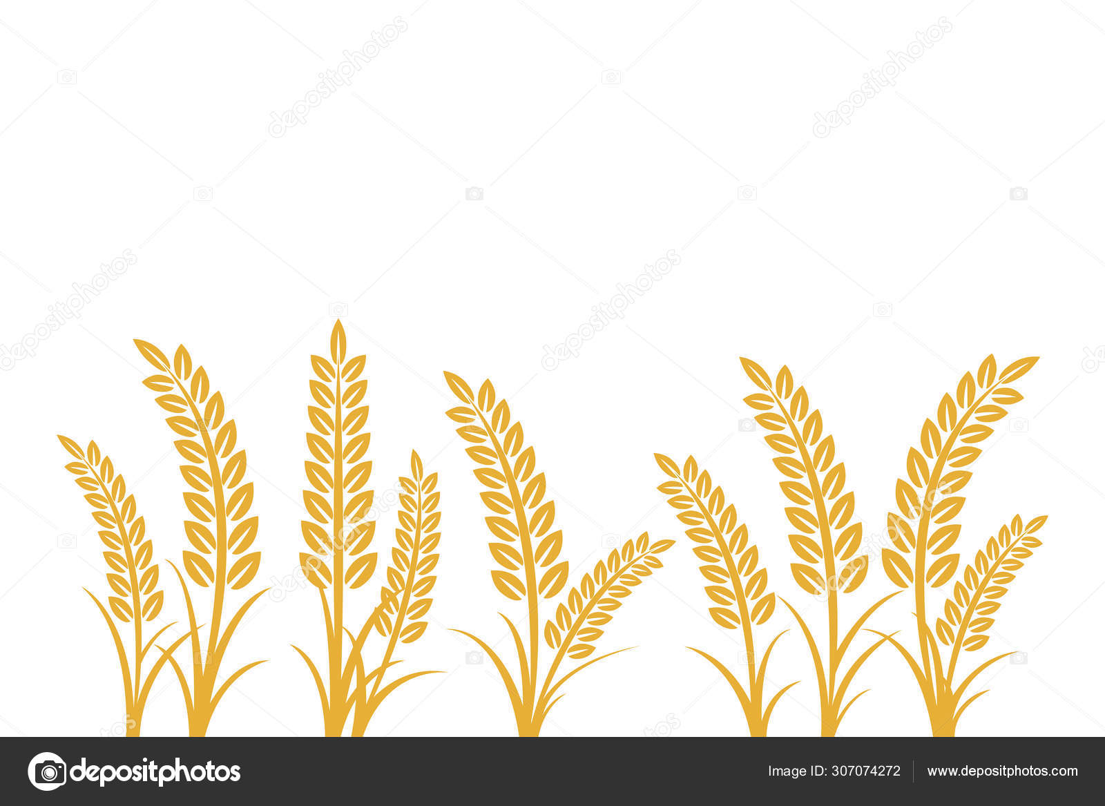 Wheat Template