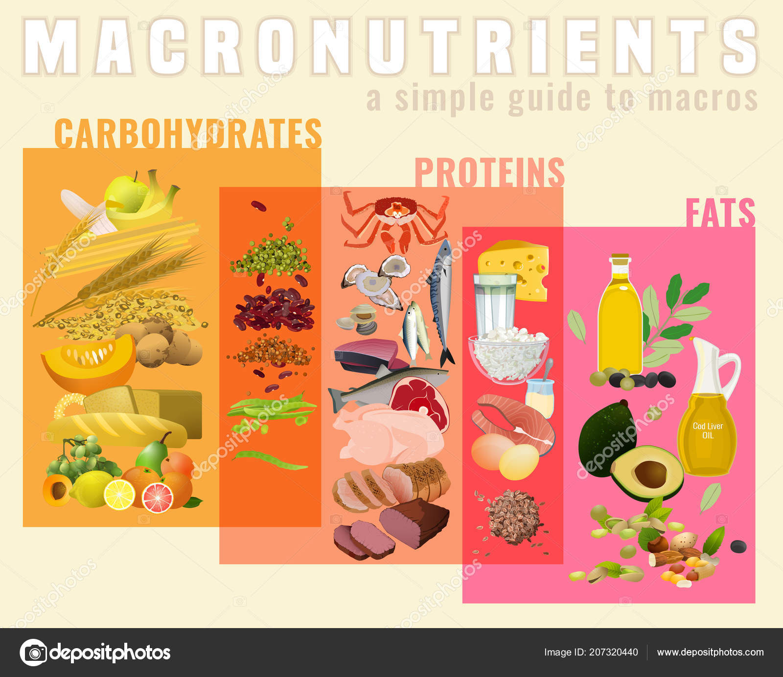 Main Food Groups Stock Vector Image by ©annyart #207320440