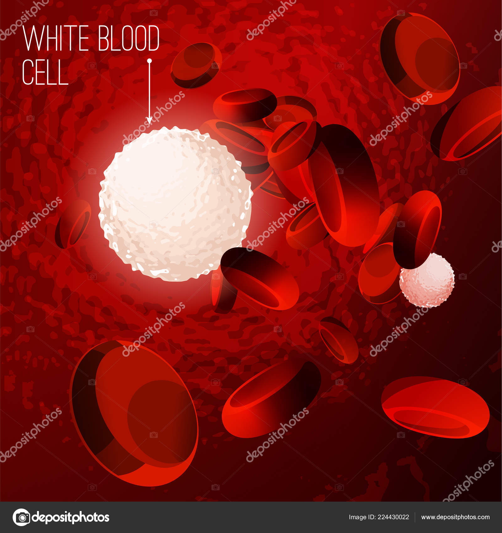 Blood Cells Background — Stock Vector © annyart #224430022