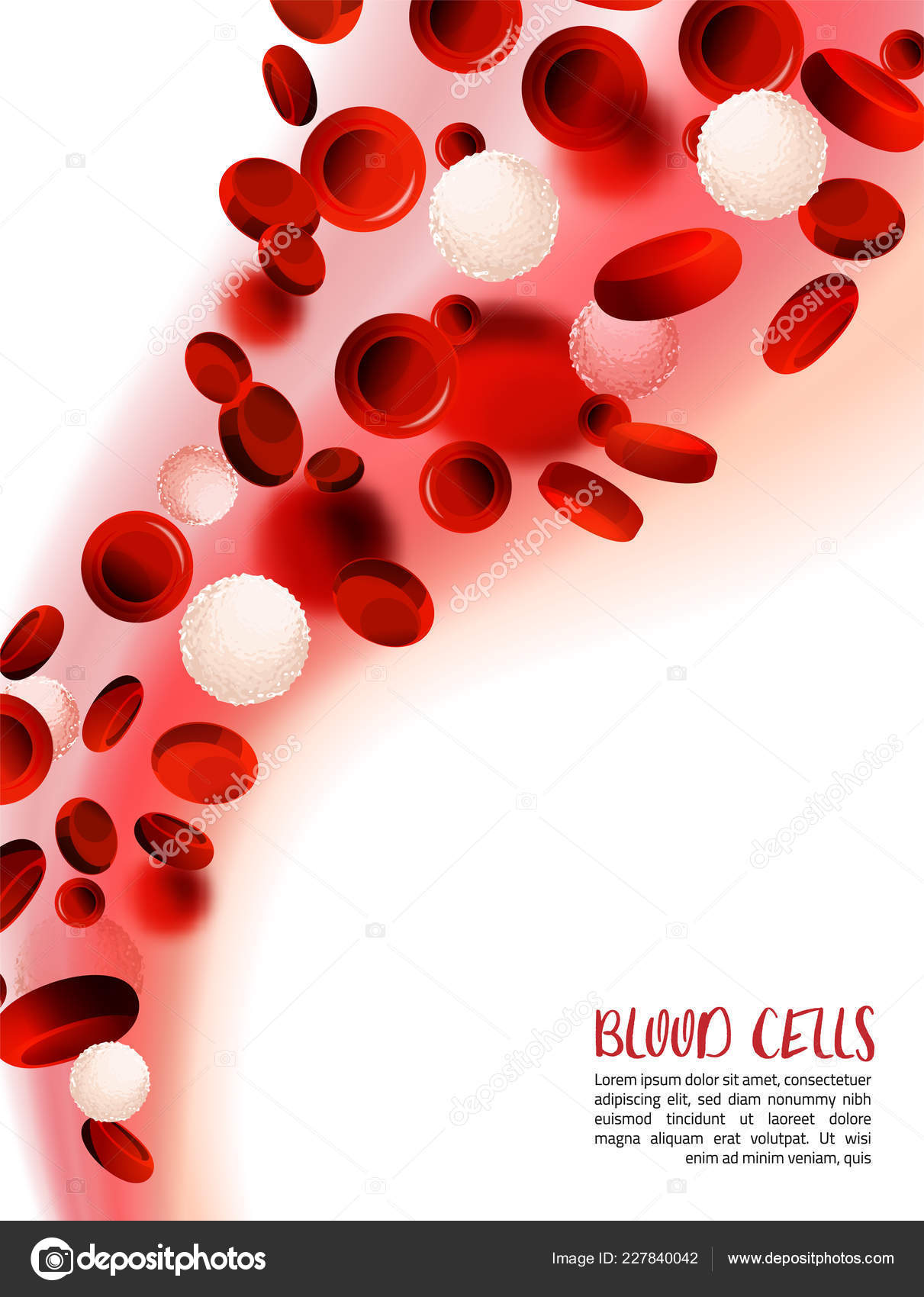 Blood Cells Background Stock Vector Image by ©annyart #227840042