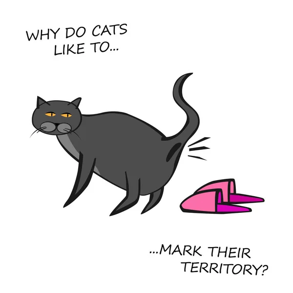 Cat inappropriate urination sign Stock Vector Image by ©annyart #326078648