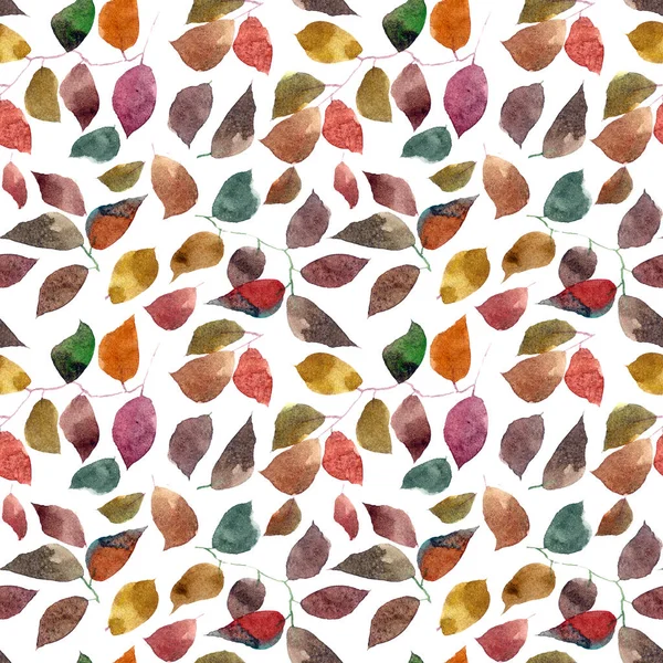 Leaves seamless pattern. Drawing leaves. Autumn leaves background ...