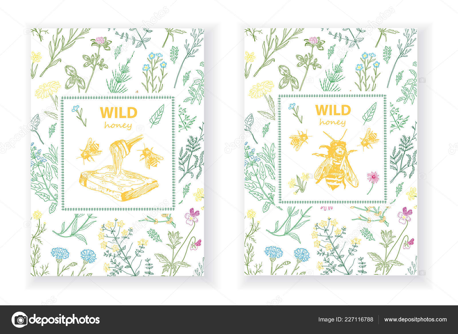 Frames with honey bee, hive, herbs and wild flowers. Stock Vector Image ...