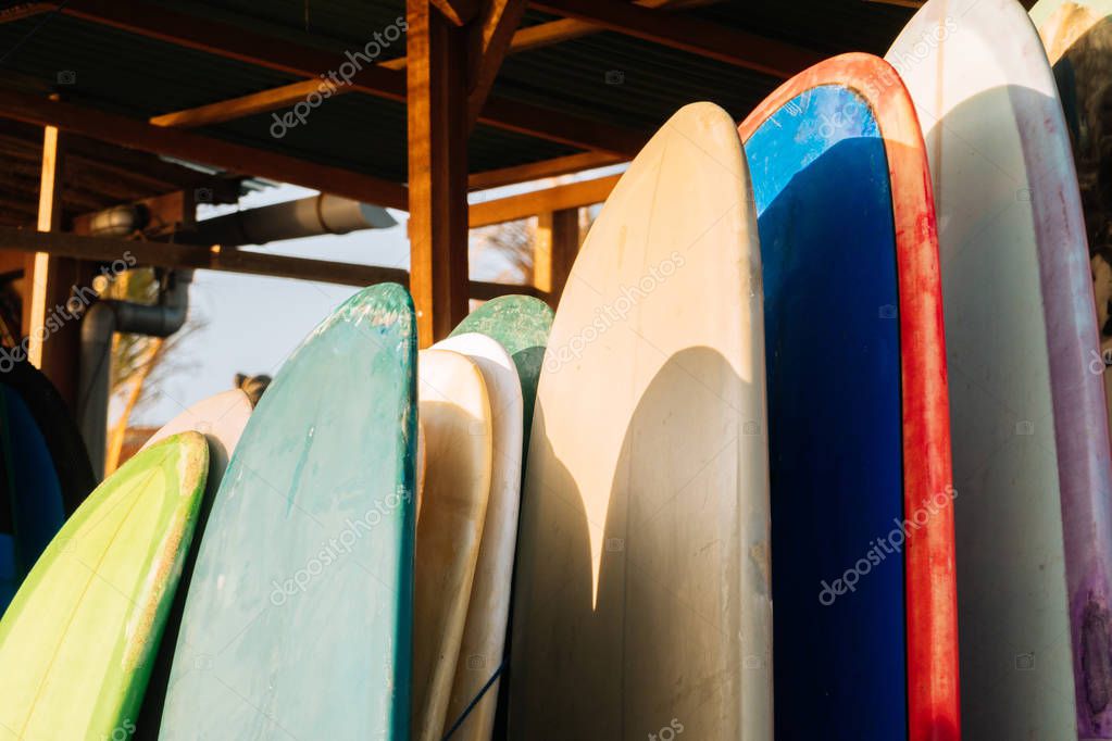 Conjunto de tablas de surf de colores en alquiler en la playa. Tablas ...