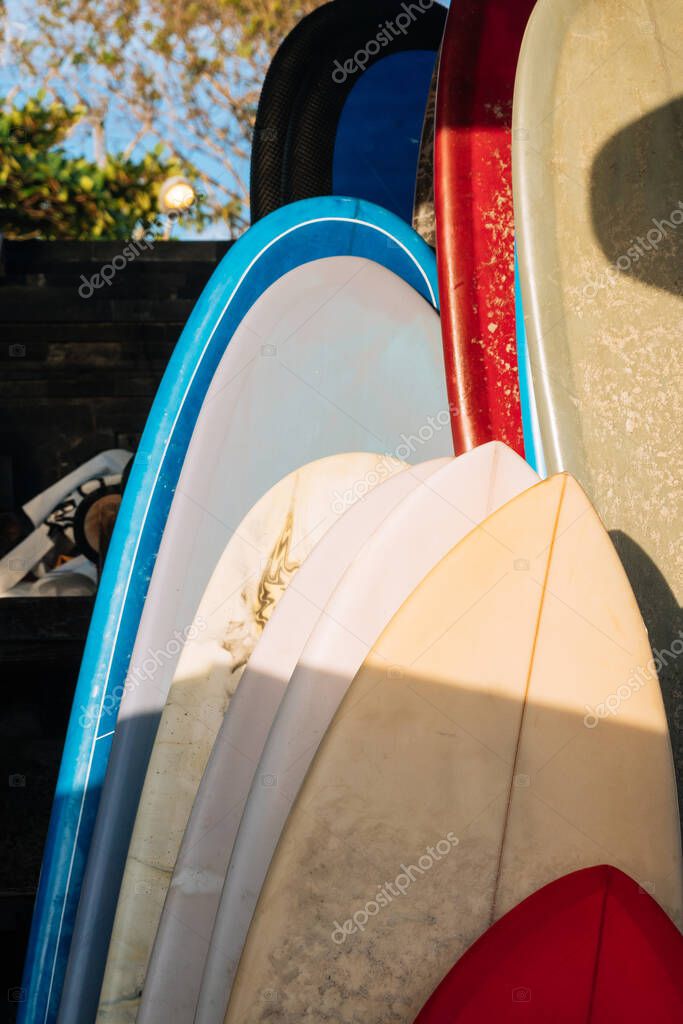 Conjunto de tablas de surf de colores en alquiler en la playa. Tablas ...