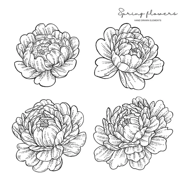 Neo Traditional Flower Drawing