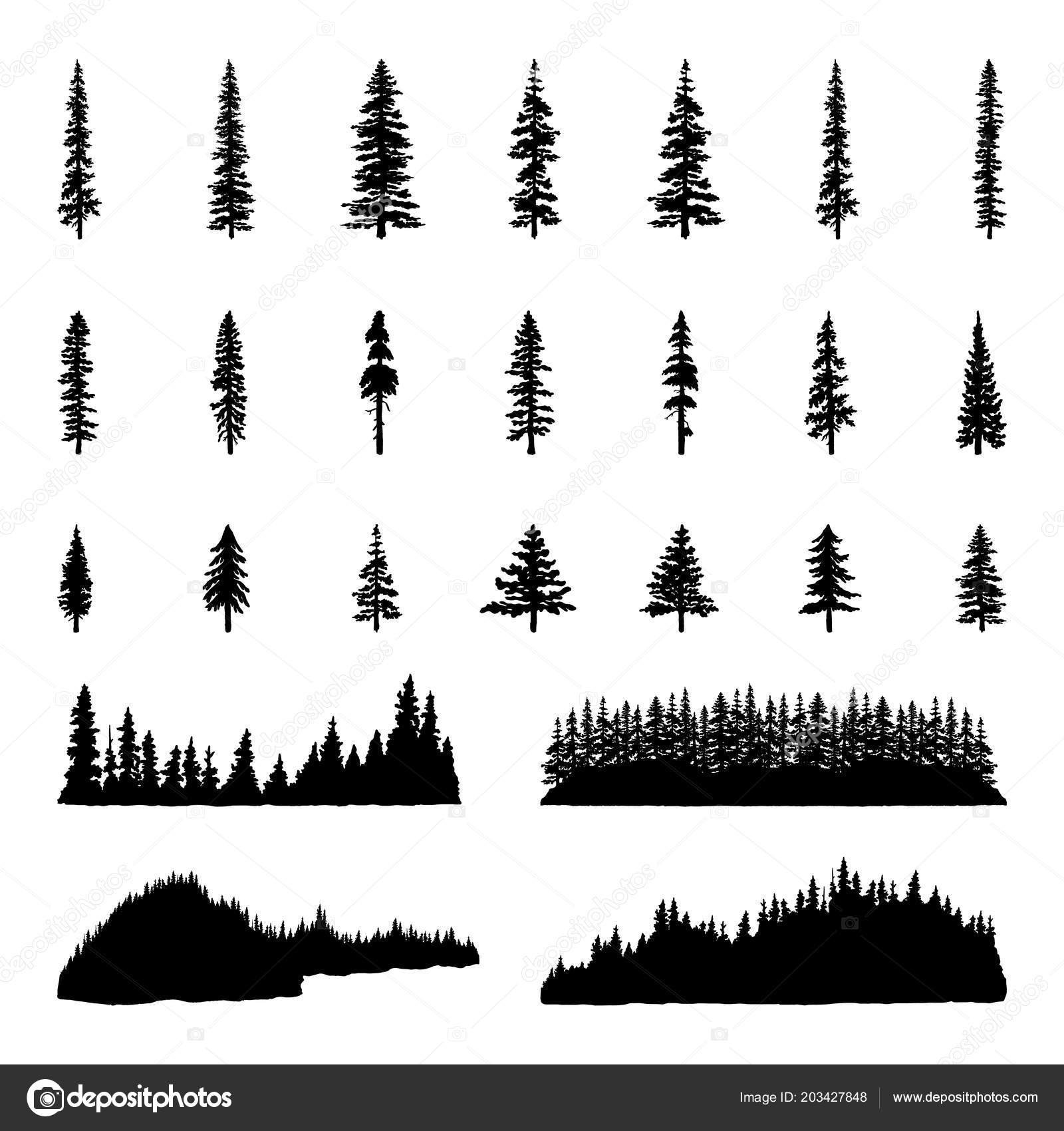 Tree Silhouetteshand Drawn Illustrations Trees Tree Lines Forests ...
