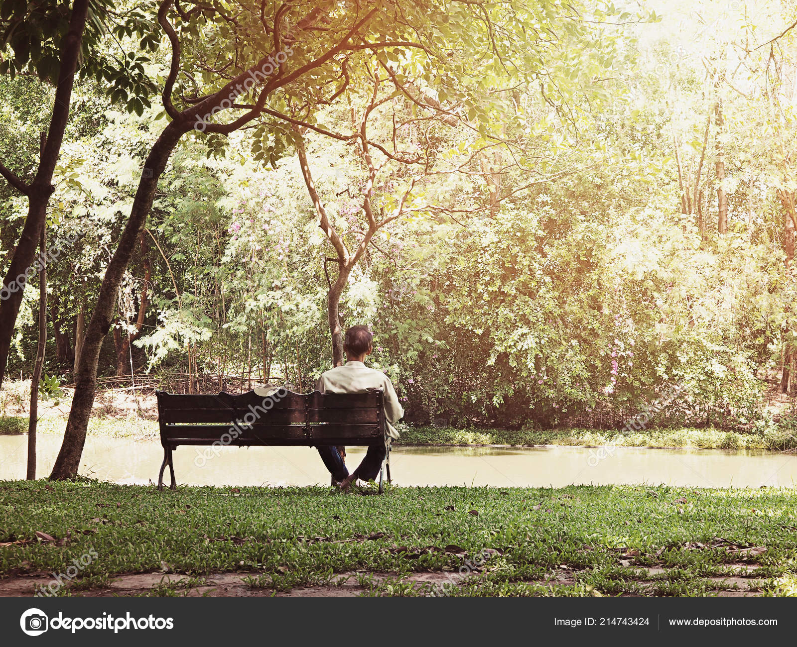 Park Bench Back View
