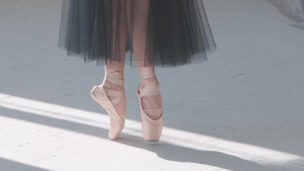 Ballet Feet Stock Videos Royalty Free Ballet Feet Footages