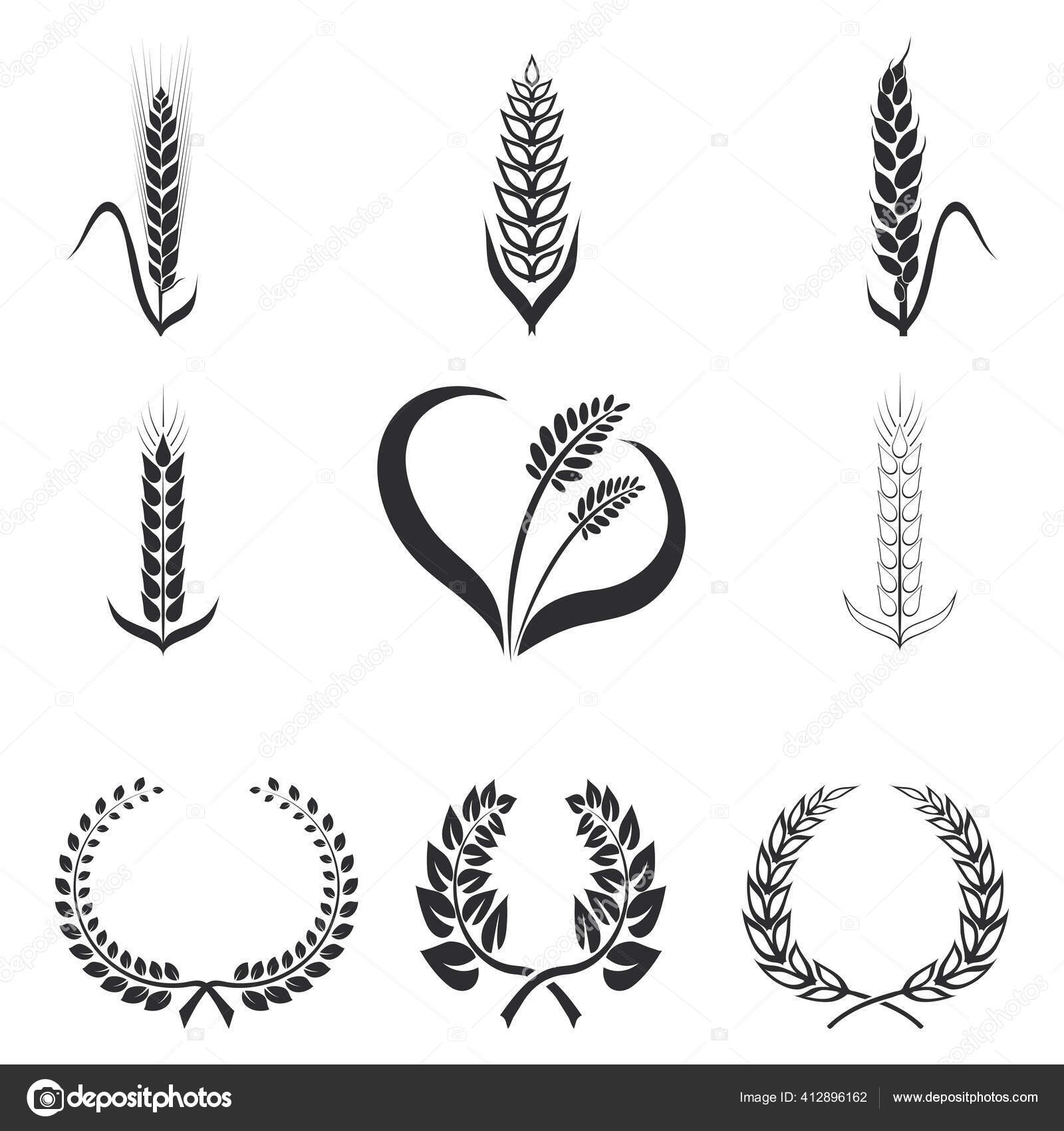 Icons Wheat Rye Corn Graphic Design Elements White Isolate Background ...
