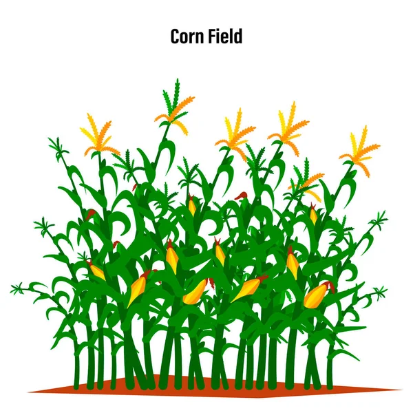100,000 Corn maps Vector Images | Depositphotos