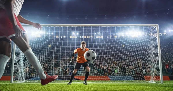 Professional Soccer Game Crowd