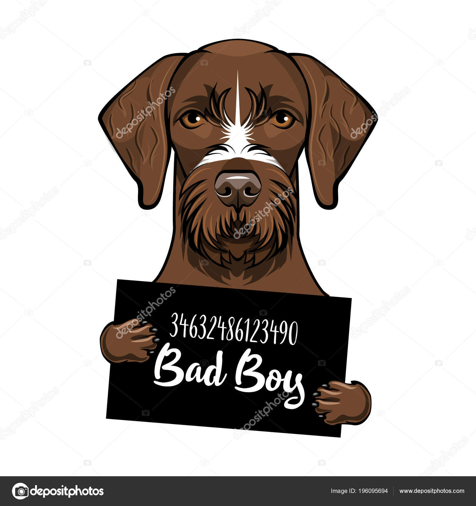 German Shorthaired puntero perro. Prisionero, convicto. Perro criminal ...