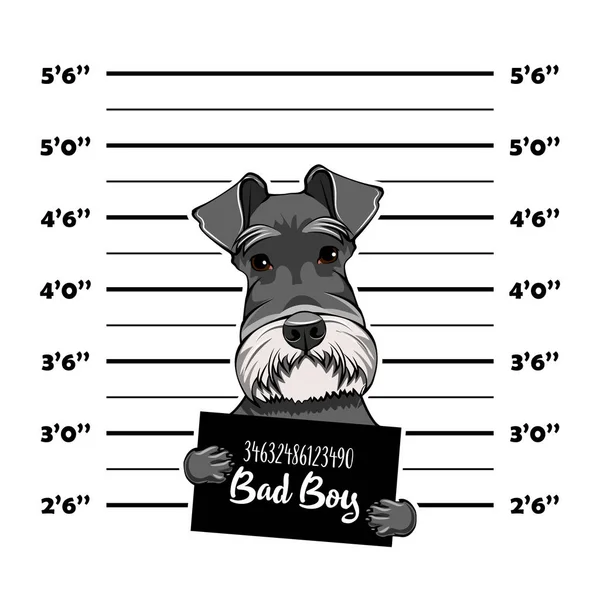 6,597 Bad boy Vector Images, Bad boy Illustrations | Depositphotos