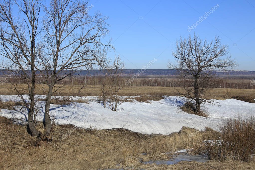 paisaje la llegada de la primavera en los campos en un día soleado 2024