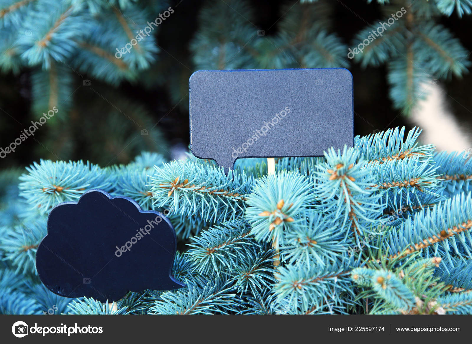 Macro Small Chalk Boards Inscriptions Background Blue Spruce — Stock ...