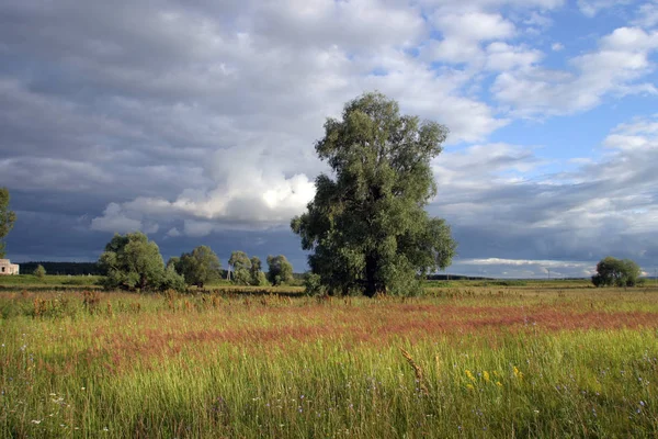 Estonian landscape Stock Photos, Royalty Free Estonian landscape Images ...