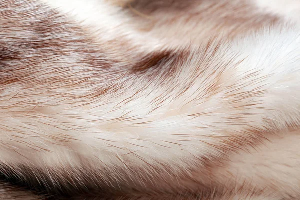 Pastel black cross mink fur texture — Stock Photo © niknikpo #33465679