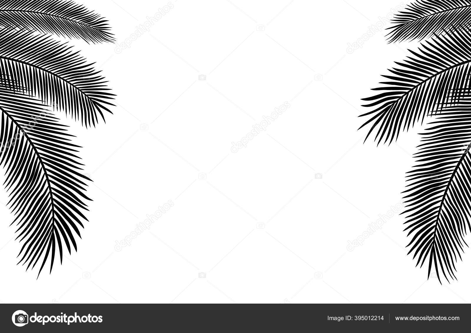 Palm Tree Leaves Template