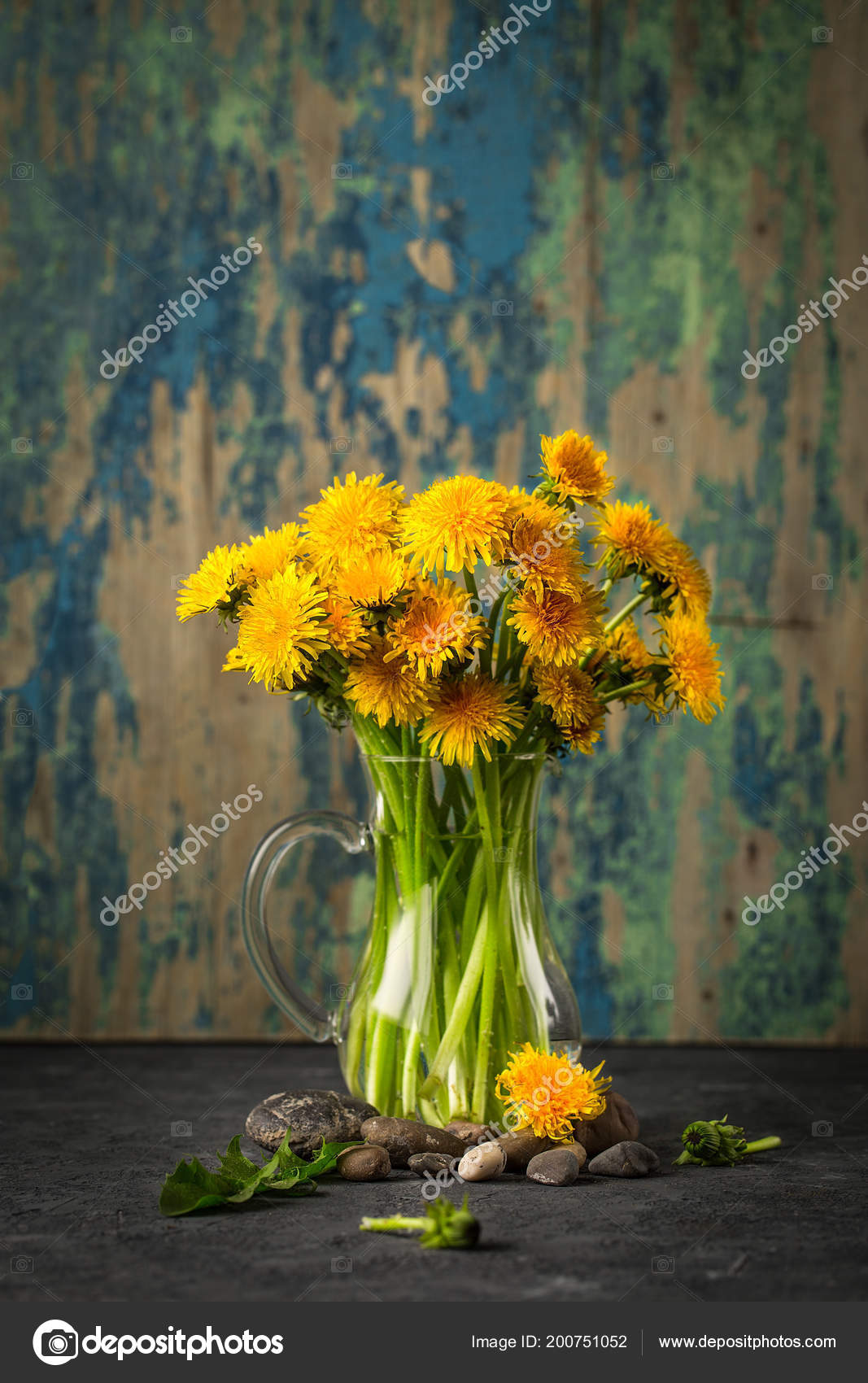 Vintage Dandelion Photography