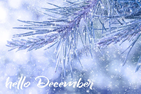 Hello december winter Stock Photos, Royalty Free Hello december winter ...