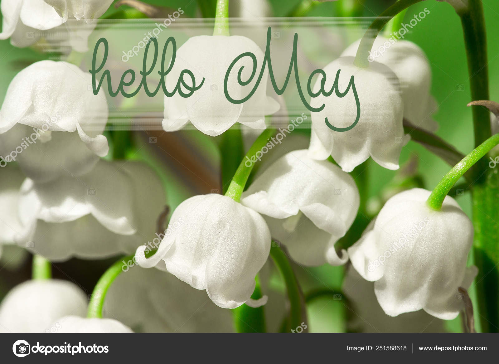 Hello May Wallpaper