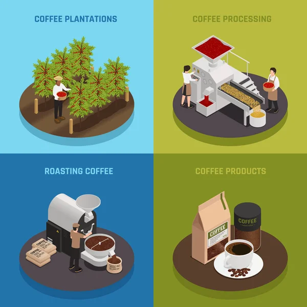 Coffee Production Industry Isometric Infographics Depicting Grain ...