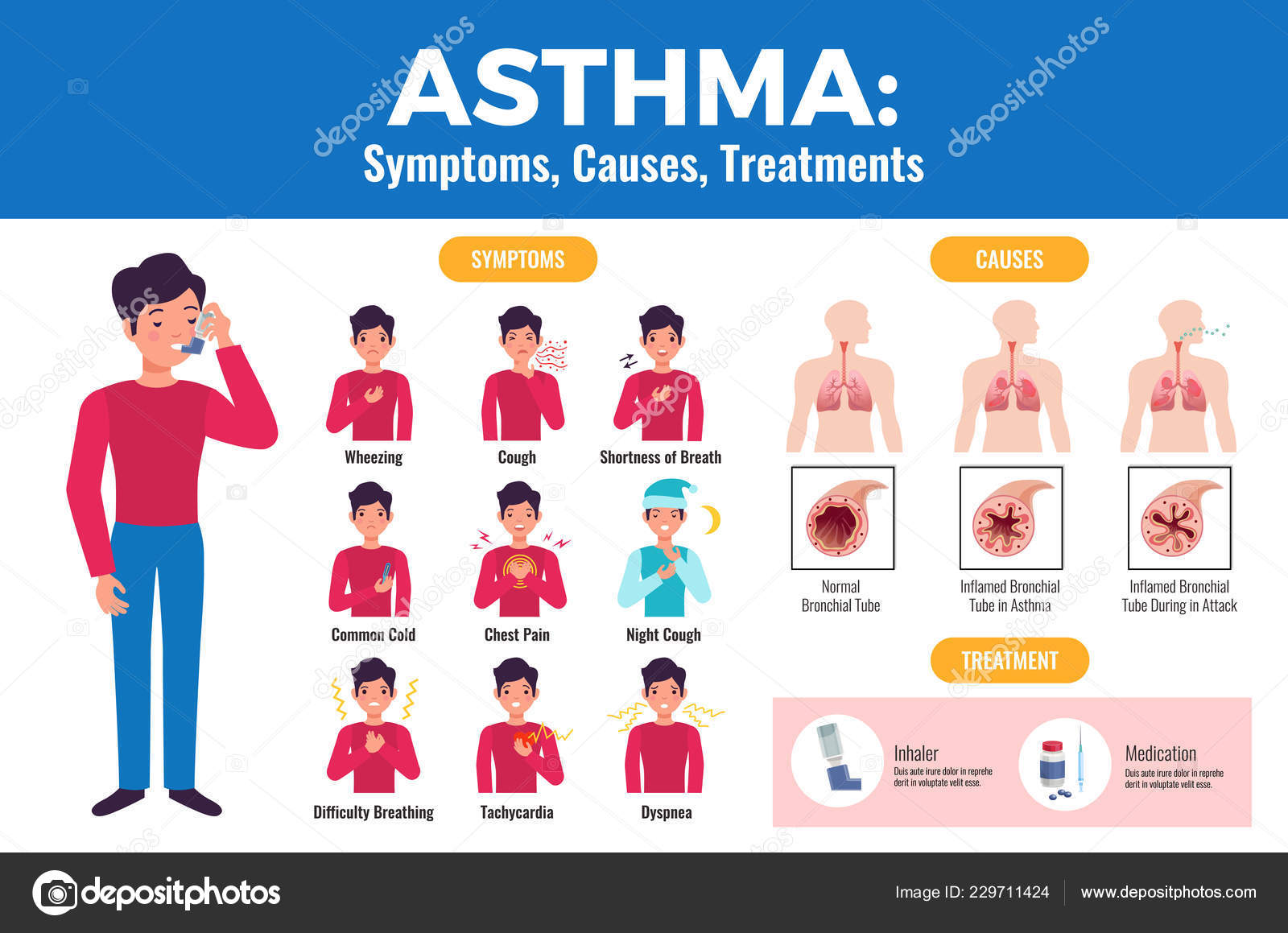 Asthma Infographic Poster Stock Vector Image By ©macrovector 229711424